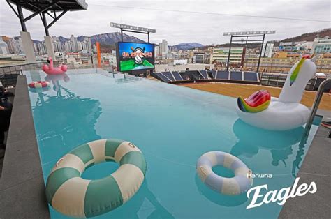 이글스 새 ‘안방 가보니…인피니티 풀 류현진·노시환 ‘쇼 관람 명당