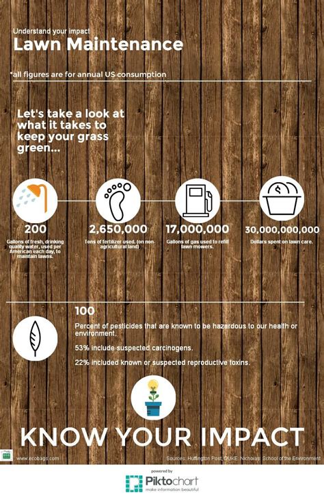 So Many Things Contribute To The Pollution Of Our Beautiful Earth Know Your Impact Live Gree