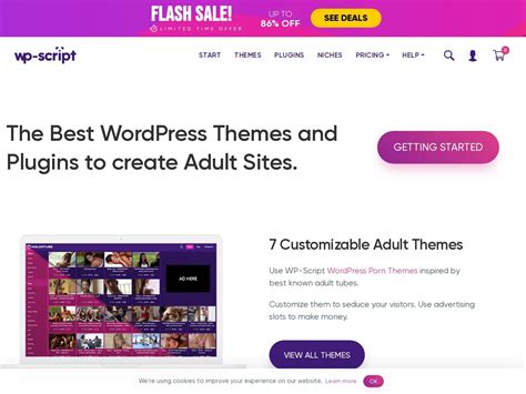 WP Script How Porn Works