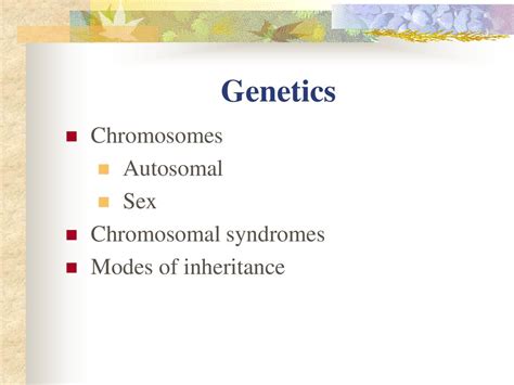 Prenatal Care Module A Ppt Download