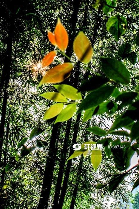 四川眉山青神中岩寺 图片 轩视界