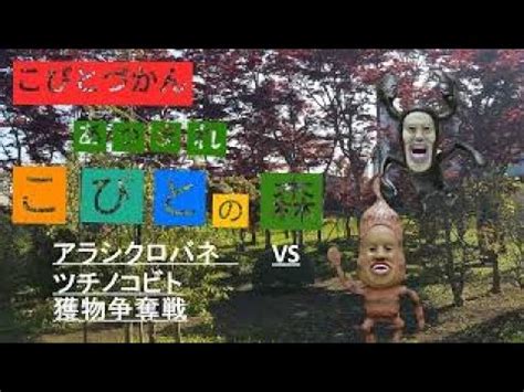こびとづかん㉞アラシクロバネVSツチノコビト獲物争奪戦 こびとの森㉞ YouTube