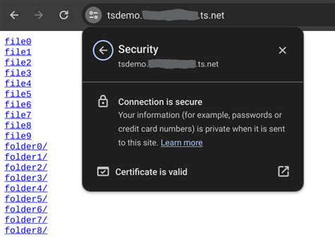 Tailscale Feature Highlight Ssh Serve And Funnel Runtimeterror