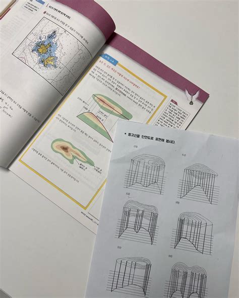 애스크하우 독도 프로젝트 와이즈만북스