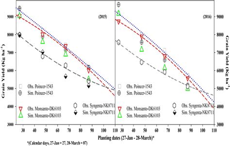 Comparison Of Observed And Simulated Maize Grain Yield Of Hybrids Download Scientific Diagram