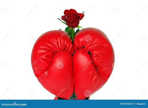 Rose And Gloves Stock Image Image Of White Boxing 95154577