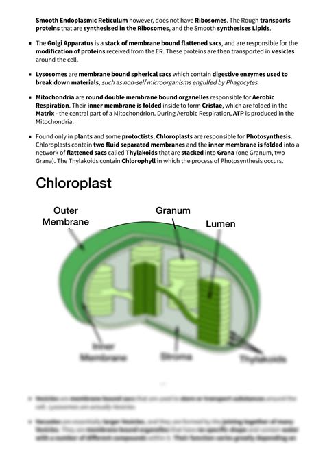 Solution Cell Structure Notes Organelle Structure And Function Studypool