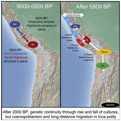Ancient Andes Analyzed