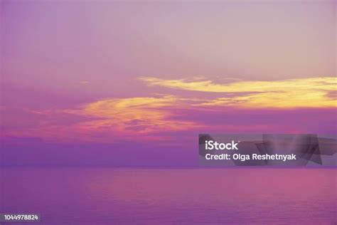 바이올렛 라일락 핑크 보라색 노란 하늘 검은 바다 놀라운 구름 0명에 대한 스톡 사진 및 기타 이미지 0명 계절 노랑 Istock