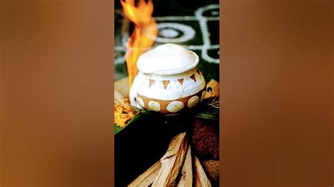 ලැබුවා වු සිංහල හා හින්දු අලුත් අවුරුද්ද ඔබ සැමට සුබම සුබ අලුත් අවුරුද්දක් වේවා🙏🌾😁 Short New