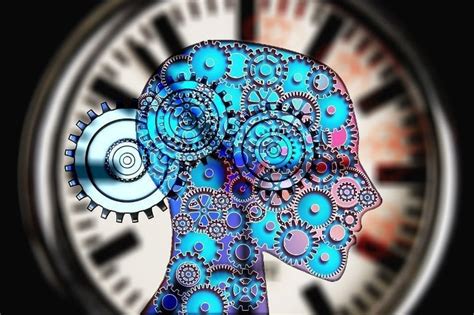 Brain Simultaneously Processes Linguistic And Extralinguistic