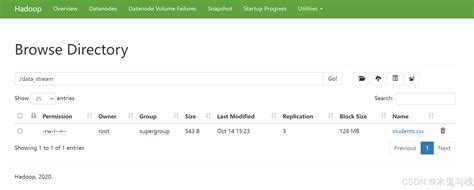 Structured Streaming数据处理流程structered Stream优化笔记 Csdn博客