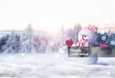 메리 크리스마스와 새해 복 많이 받으세요 인사말 카드 겨울 크리스마스 풍경에 서있는 행복한 눈사람 눈 배경 미소에 대한 스톡 사진 및 기타 이미지 Istock