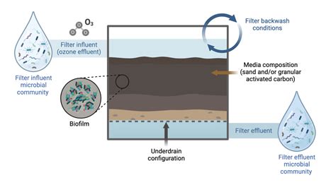 The Role Of Biofiltration In Shaping Distribution System Microbial