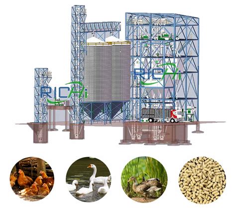 Poultry Feed Manufacturing Plant RICHI MACHINERY