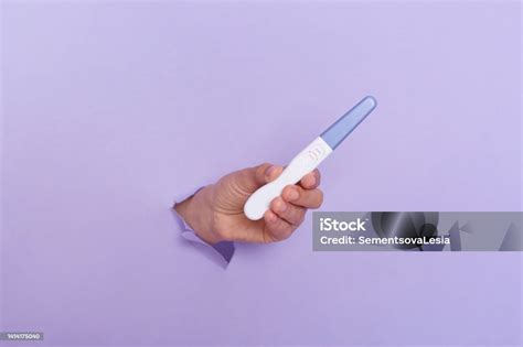 보라색 배경의 찢어진 구멍에서 임신 테스트를 개최하는 사람의 손 의료 건강 관리 부인과 임신 불임 출산 광고 텍스트 비문을위한 공간을 복사하십시오 계획에 대한 스톡 사진 및