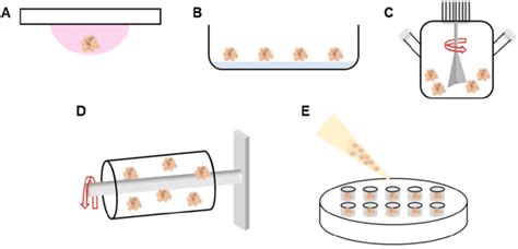 Schematic Of Various Spheroid Fabrication Methods A Hanging Drop B