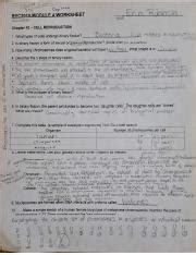 Module 4 Complete Pdf Course Hero