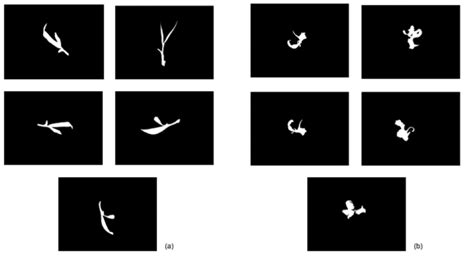 A Result Of Thresholding Of Normal Samples Based On Otsus Algorithm