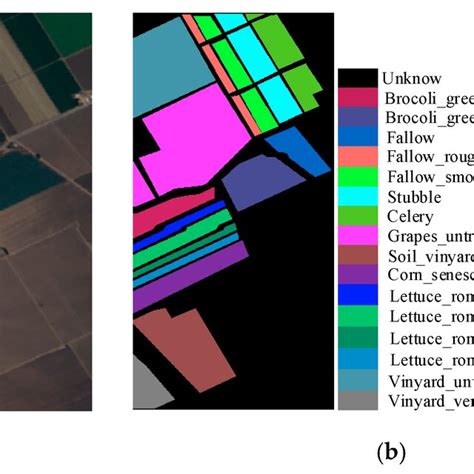 Salinas Dataset A False Color B Ground Truth Download
