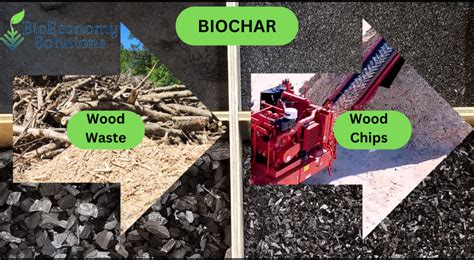 What Is Biochar Bioeconomy Solutions