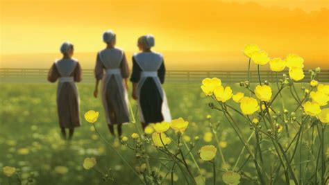 Shelley Shepard Gray Amish Reality Vs Perception