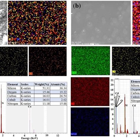 Eg Curves Of A Co Ii Complex And B Cd Ii Complex Download Scientific Diagram