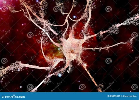 Apoptosis Of Neuron Which Is Observed In Different Diseases Stock Image Image Of Infectious