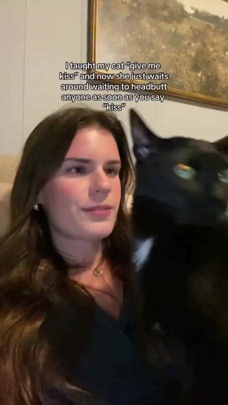 Video Tagged With Cats Of Tumblr Cat Cats Cute Catts On Tumblr