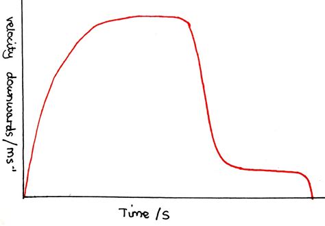 Terminal Velocity Graph