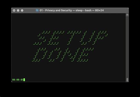 MacOS Privacy Security Settings