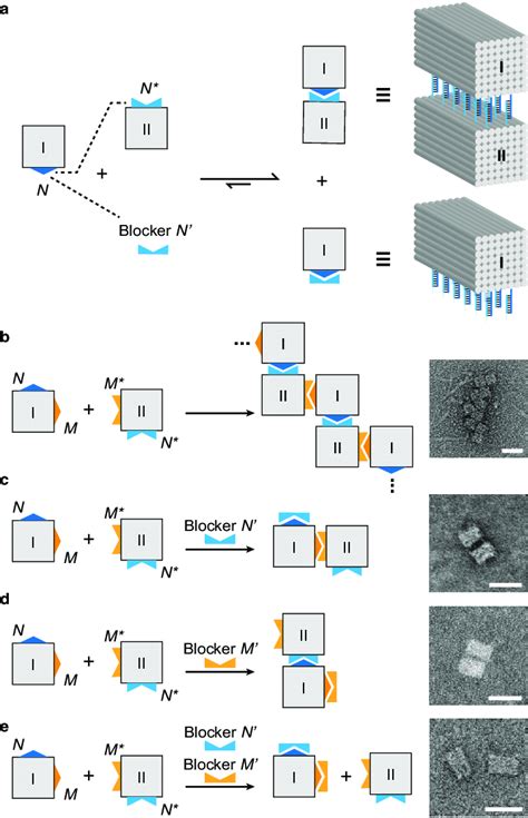 Boolean Functions Implemented On A Dual Unit 3d Dna Nanostructure