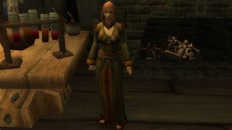 Classic Wow Frost Mage Leveling Guide 1 60 Talents And Tips