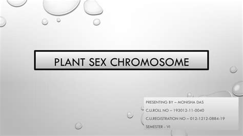 Plant Sex Chromosom Onh Kwjw Syts Uduye Shhs Hw Pptx Reproductive Health Diseases And