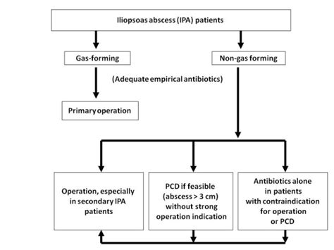 Suggested Clinical Management Algorithm For Ipa Patients Ipa Suggested Clinical Management Algorithm For Ipa Patients Ipa