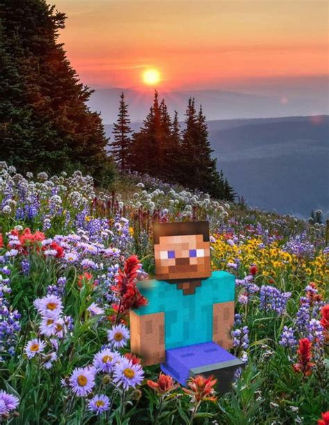 Ideas De Steve Minecraft En Im Genes De Minecraft Minecraft Posters De Minecraft