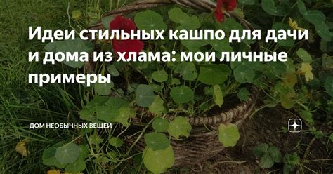 Идеи стильных кашпо для дачи и дома из хлама мои личные примеры Дом необычных вещей Дзен