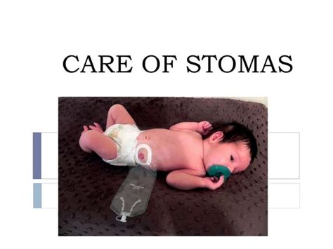 Stoma Care 1ppt