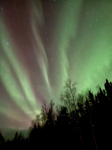4박 5일 오로라 투어 페어뱅크스 출발 시티 투어 And 체나 온천 알래스카 Kkday