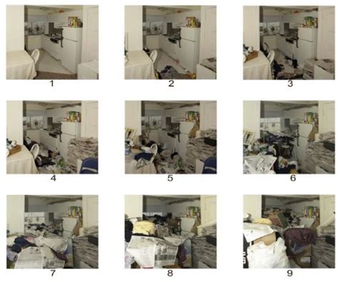 Clutter Image Rating Tool