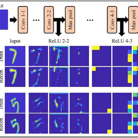 Visualization Of Vgg Network Feature Maps The Vgg Loss Uses The Relu Download Scientific