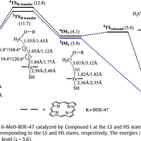 possible reaction processes for meo pbdes download scientific diagram
