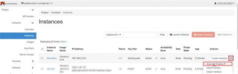 How To Manage Floating Ips Real Time Cloud Services Llc