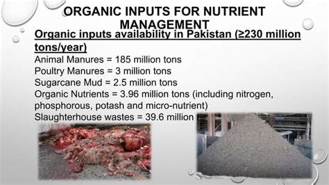 Integrated Nutrient Management Pptx
