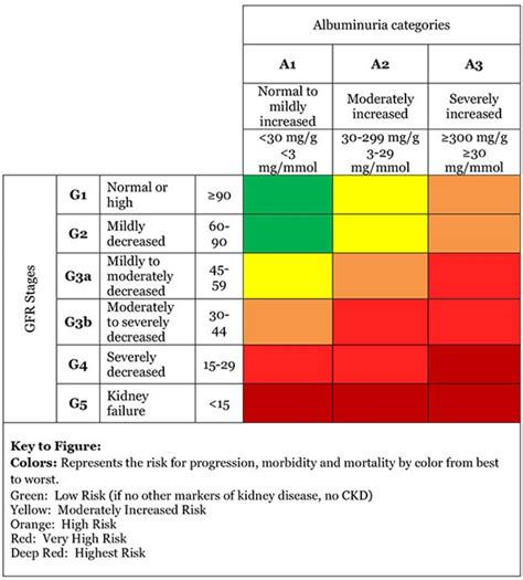 Creatinine Urine Levels Chart Ipregnant Full Test Results