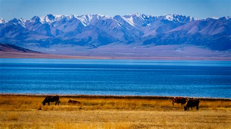 Sayram Lake A Shining Sapphire On The Silk Road Cgtn