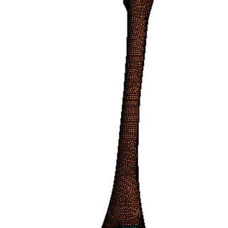 Subject Specific Finite Element Model FEM And Boundary Conditions Of Download Scientific