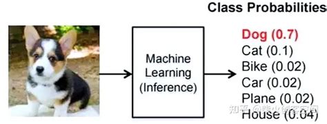 模型案例： 鸟类识别模型！鸟类智能识别模型 Csdn博客