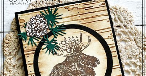 Shoregirl S Creations Diy Embossing Diffuser