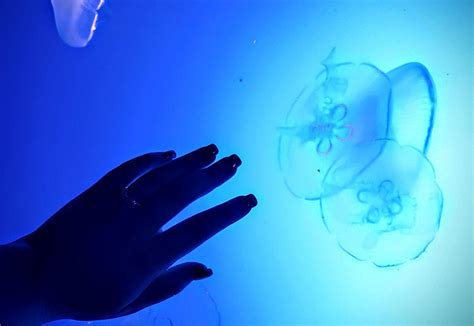 Ios Deep Linking Lebih Baik Url Schemes Atau Universal Links Part Ii By Irfan Tri Handoko